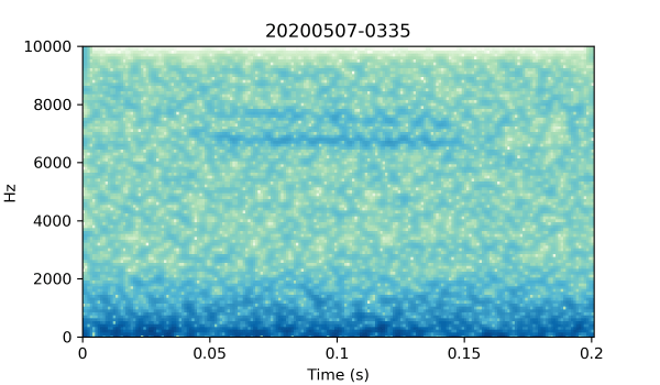 100 milliseconds of confusion – nocmig