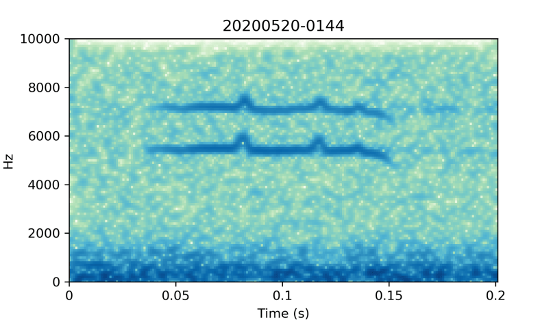 100 milliseconds of confusion – nocmig