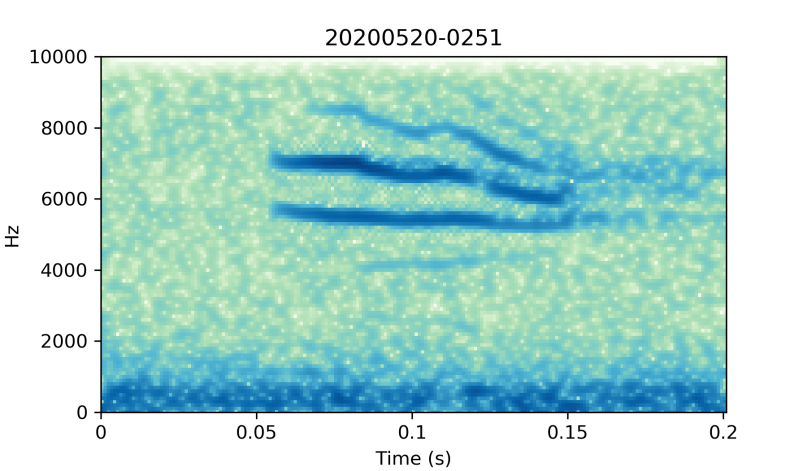 100 milliseconds of confusion – nocmig