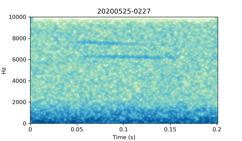 100 milliseconds of confusion – nocmig