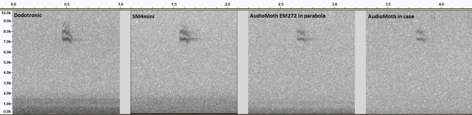 AudioMoth with external microphone – nocmig